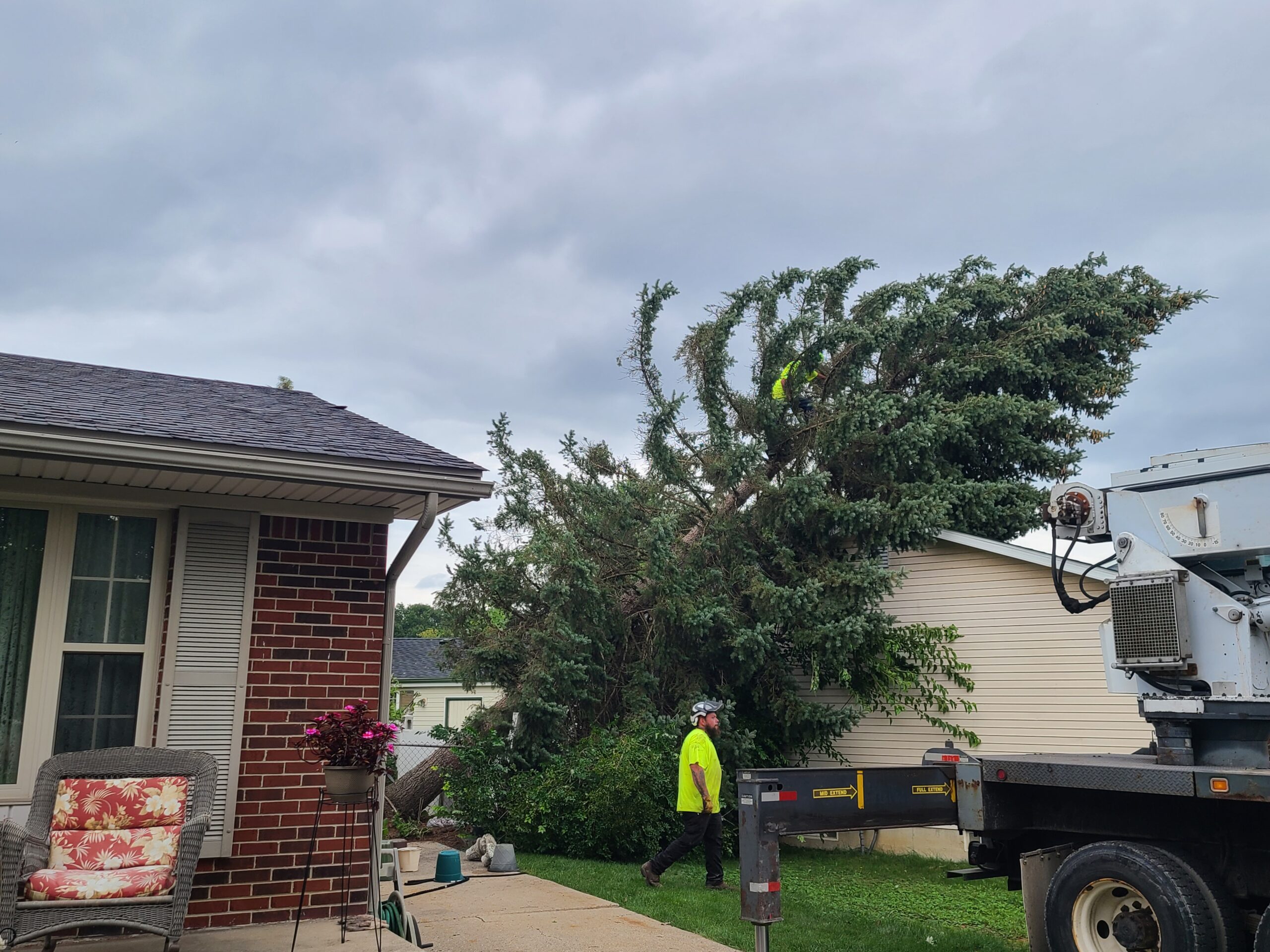 Tree Services - Arbor Cut Tree Service