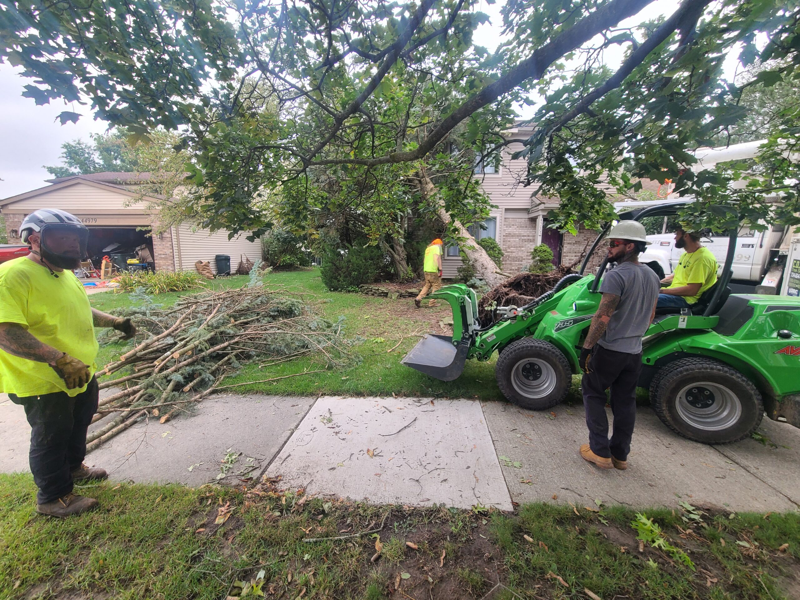 Contact - Arbor Cut Tree Service